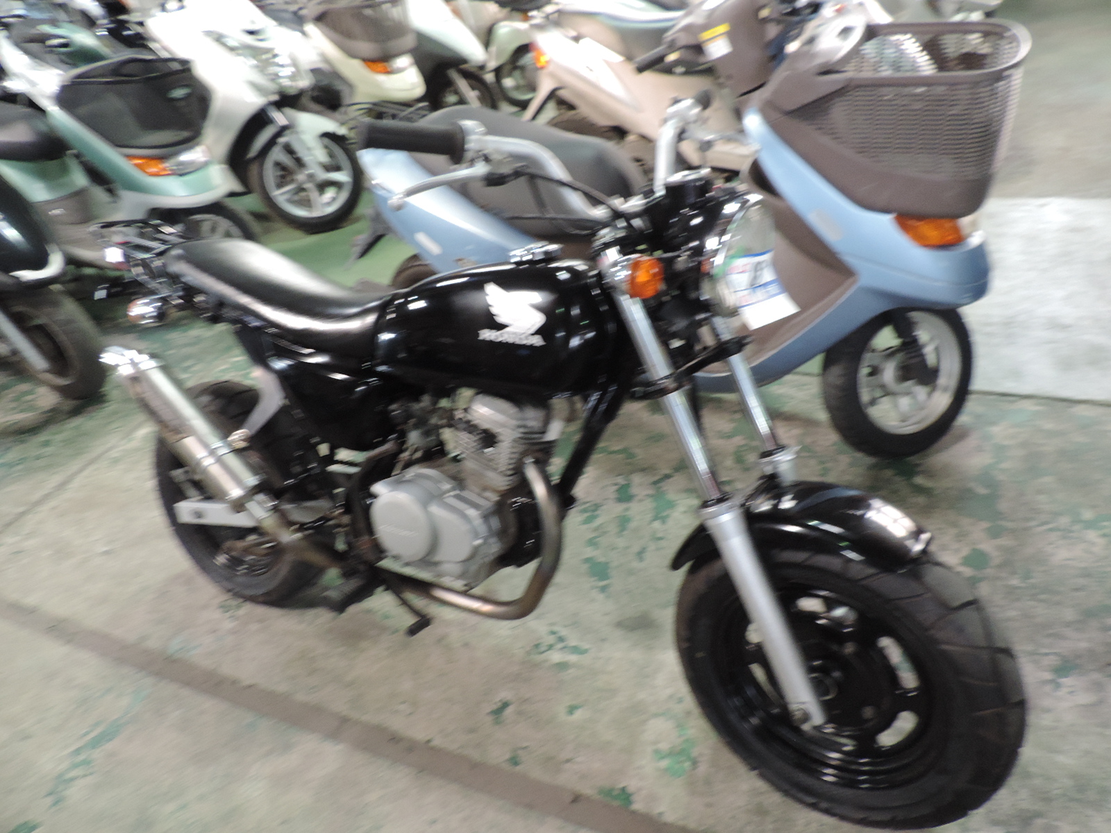 AC16 APE 202310250181 - オートコレクション