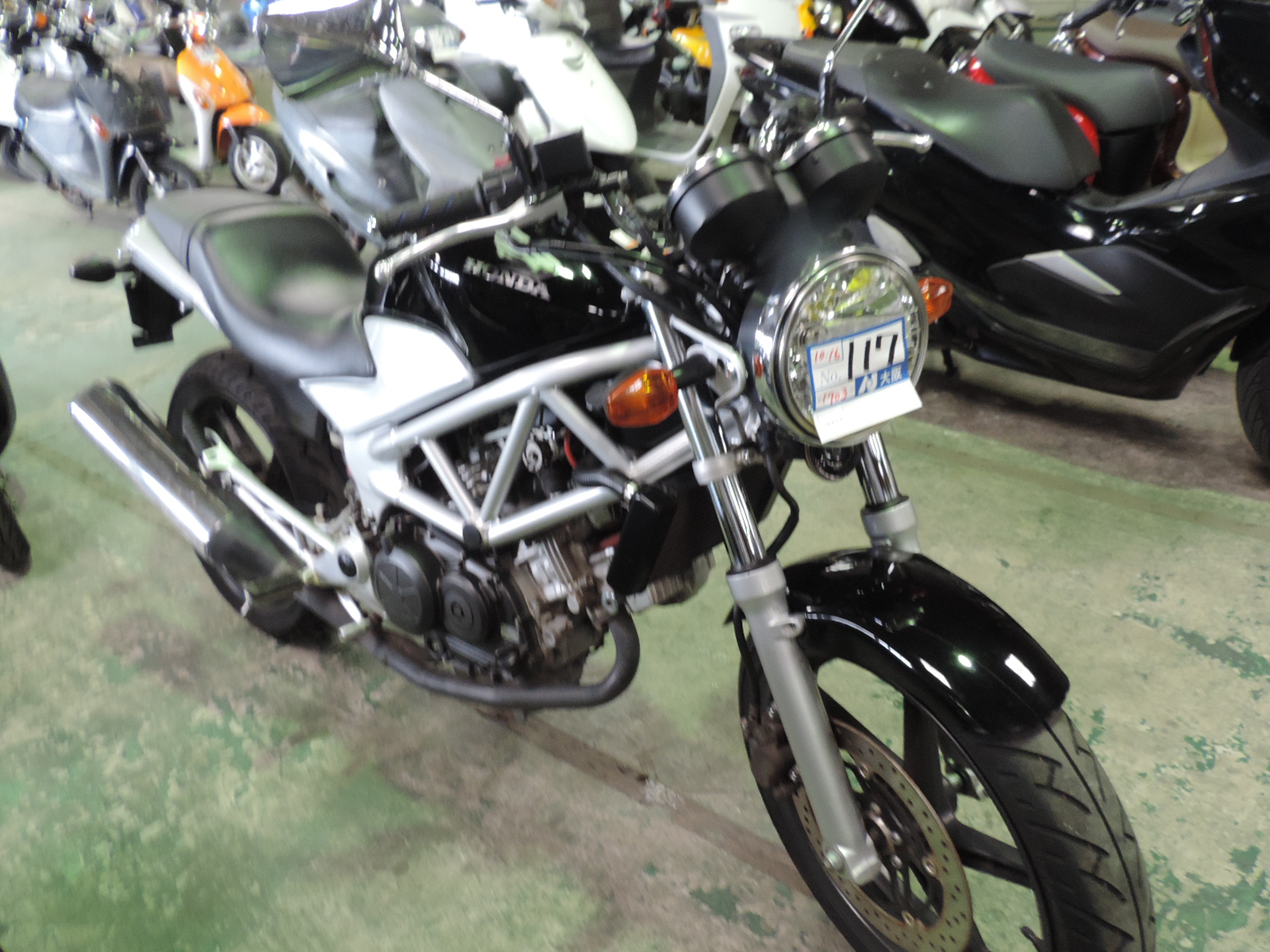 VTR250 MC33 202410160117 - オートコレクション